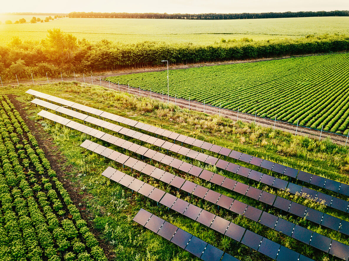 Agriculture Benefits from Rural Energy for America Program | Solar ...